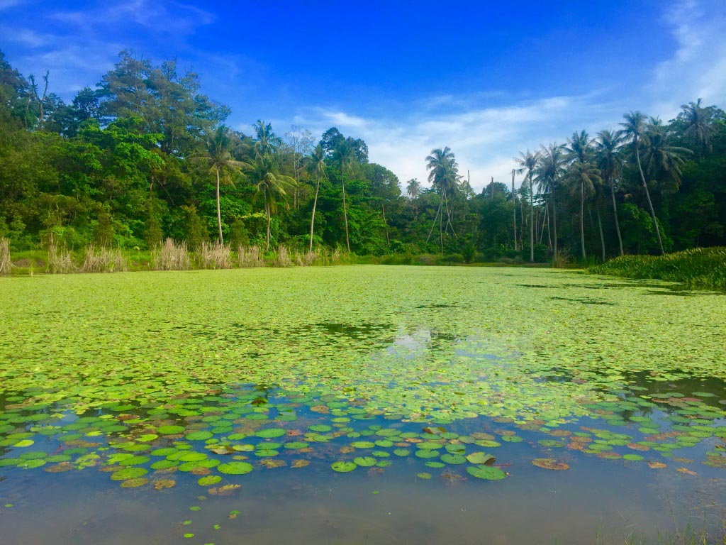 An Interesting Island Exploration in Southeast Asia - The Cajun Traveler